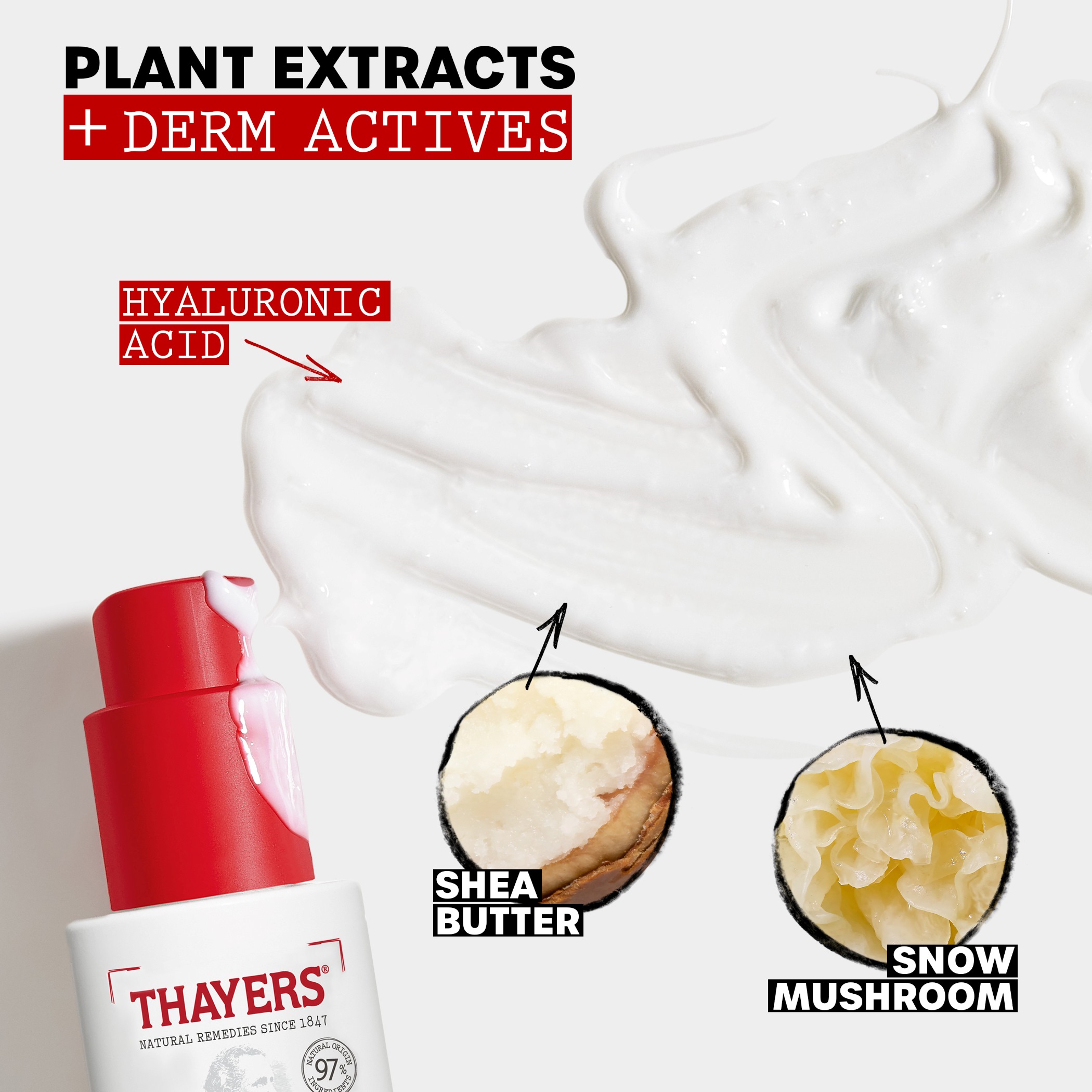 Soak It Up Liquid Moisturizer - Normal to Dry Skin - Thayers