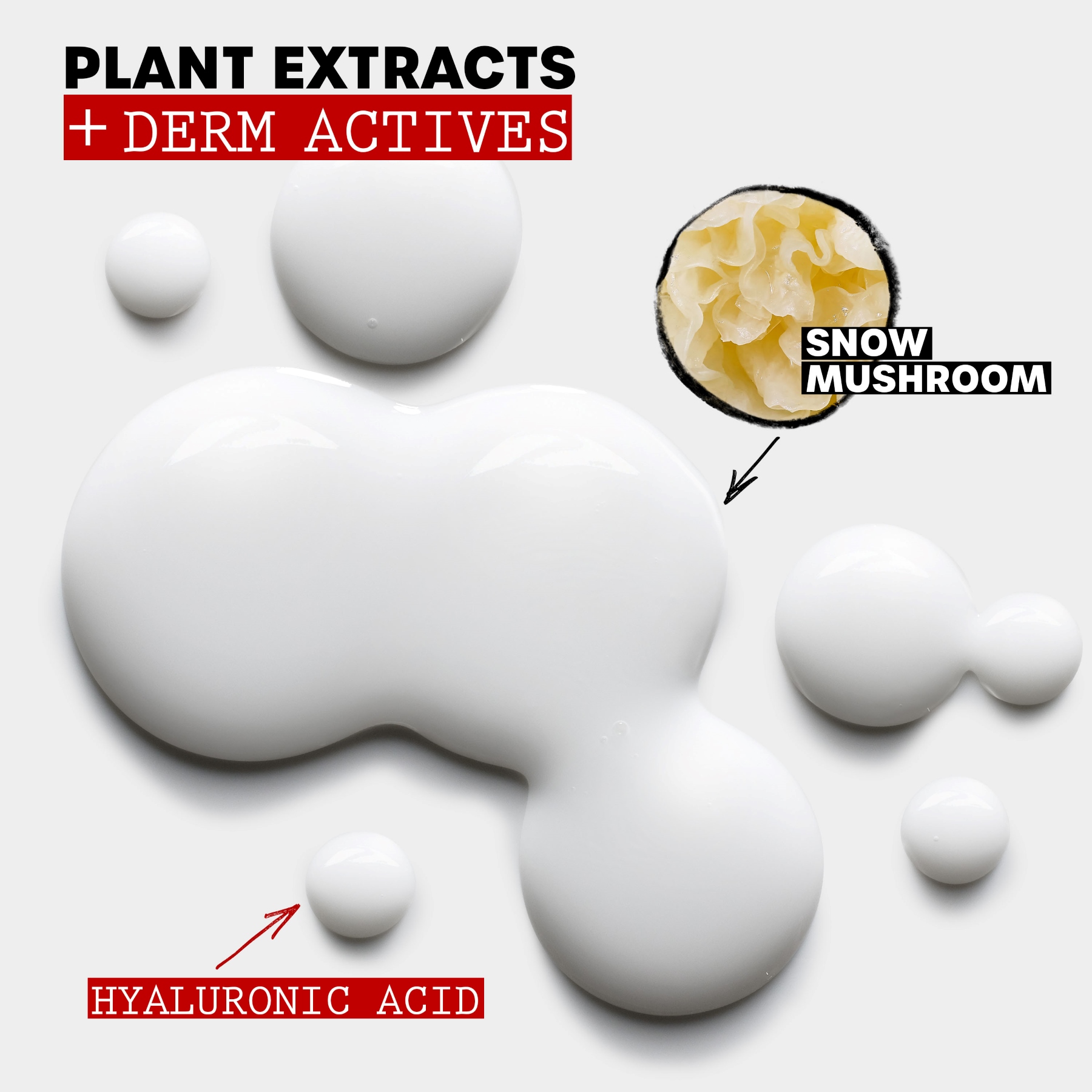 Hydrating Milky Toner with Snow Mushroom - 12 oz. - Thayers